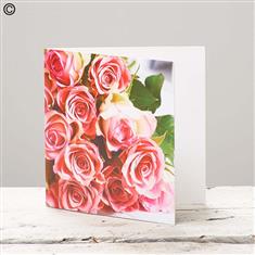 Pink Rose Greetings Card The Flower Shop Eccleshall Florist